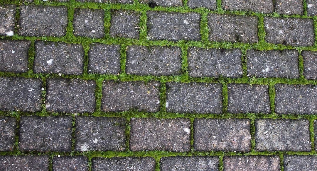 How To Effectively Remove Weeds From Paving And Patios - Driveway ...
